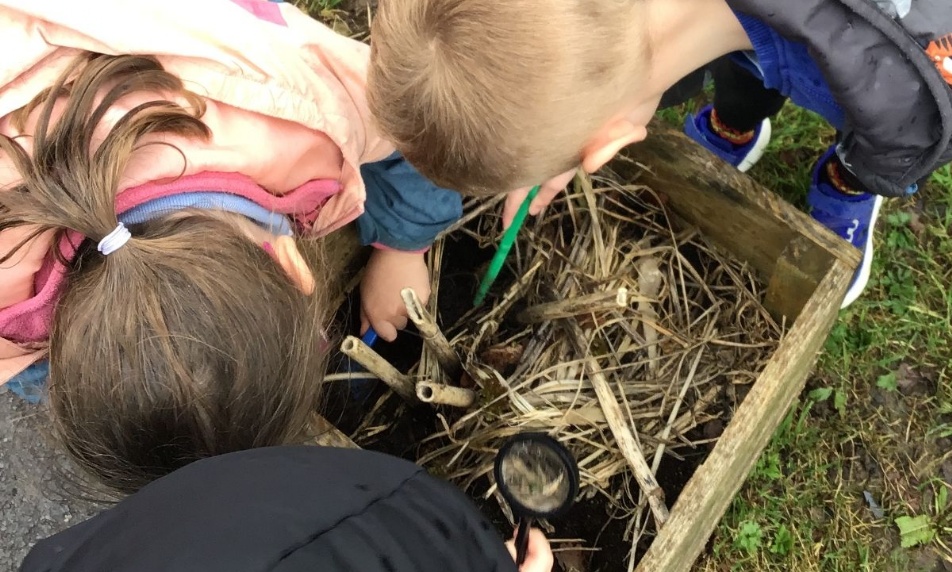 Fremington Primary School - Mini Beast Hunters!