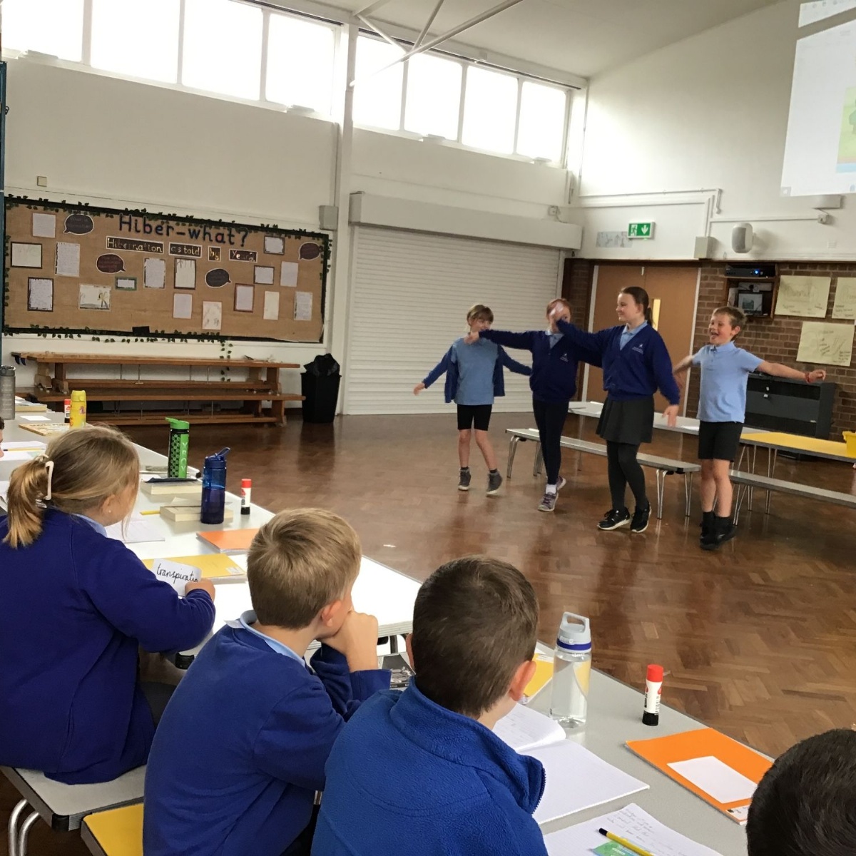 Fremington Primary School - Once Upon a Raindrop - Hawks